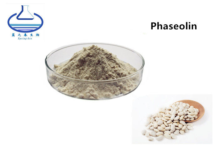 White Kidney Bean Phaseolus Coccineus L Extract Phaseolin 1%-2% For ...