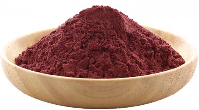 Anthocyanidins Cranberry Fruit Powder Proanthocyanidins Medical Grade