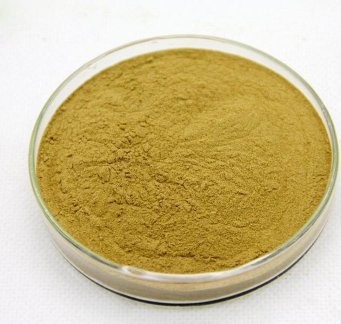 Herb Rutine Troxerutine Rutoside Troxerutin Extract Rutin Powder