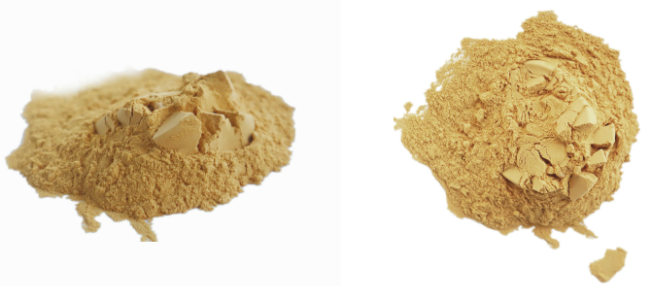 Bacopasides Lutein Extract Powder , 50% Bacopa Monnieri Brahmi Extract